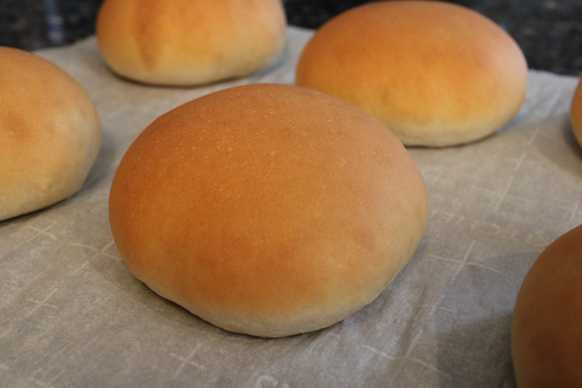 Buns 101 – Bounded by Buns