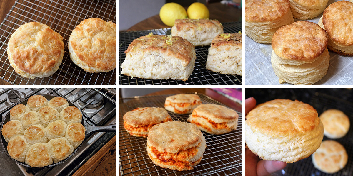 Biscuits – Bounded by Buns